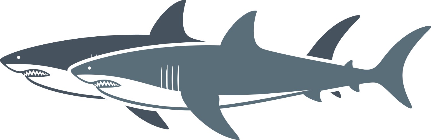Shark Royalty Free Vector Image - VectorStock