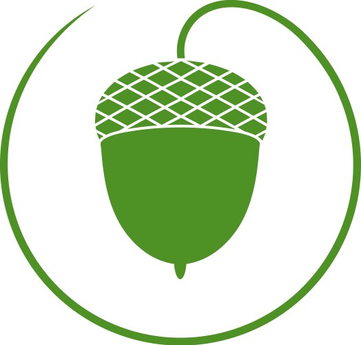 Acorn Royalty Free Vector Image - VectorStock