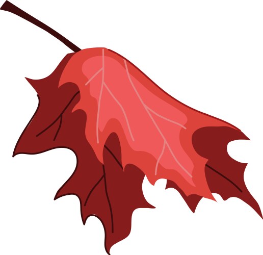 Red maple leaf cartoon Royalty Free Vector Image