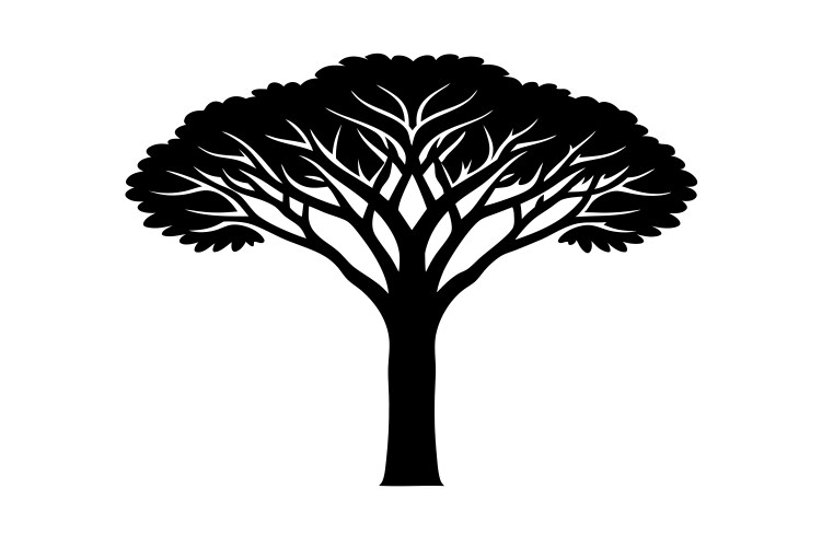 Modern safari tree - elegant and minimalist Vector Image