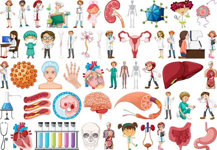 Anatomy Vector Images (over 210,000)