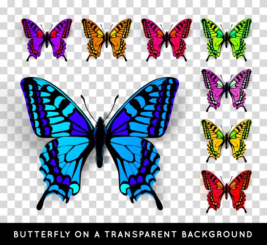 Realistic Butterfly Vector Images (over 7,400)
