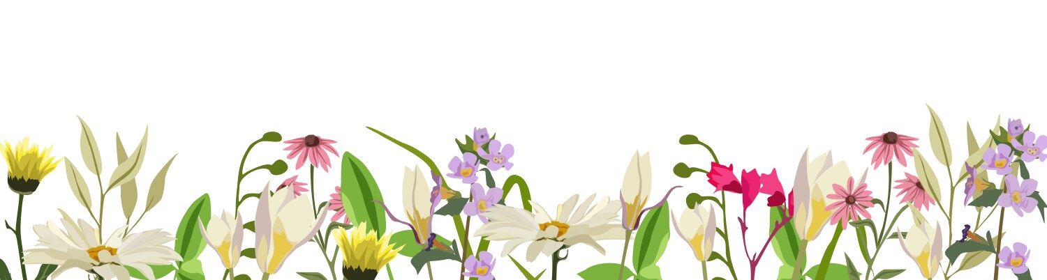 Floral Bottom Border Vector Images (over 300)