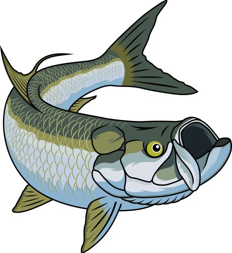 Tarpon Logo FAQ DIALOG Tarpon Offshore Platforms