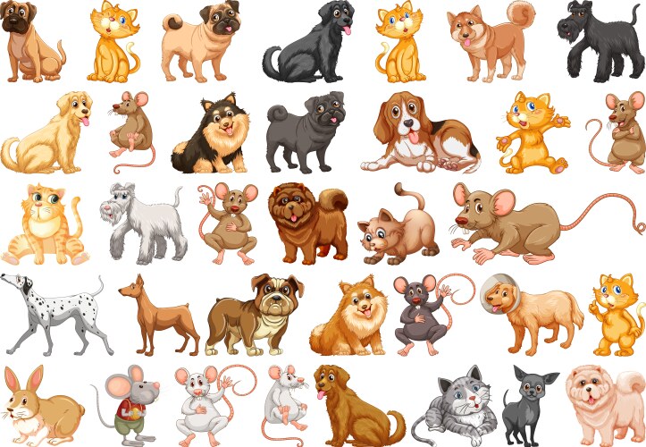 Pet Vector Images (over 640,000)