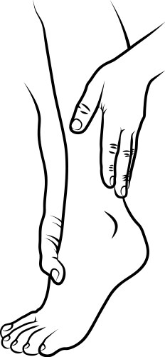 Leg Outline Vector Images (over 35,000)