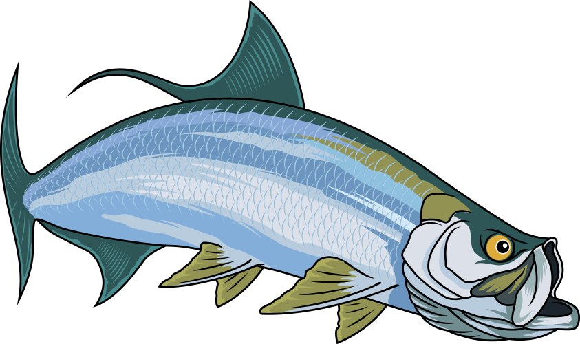 Tarpon Fishing Logo Royalty Free Vector Image - VectorStock