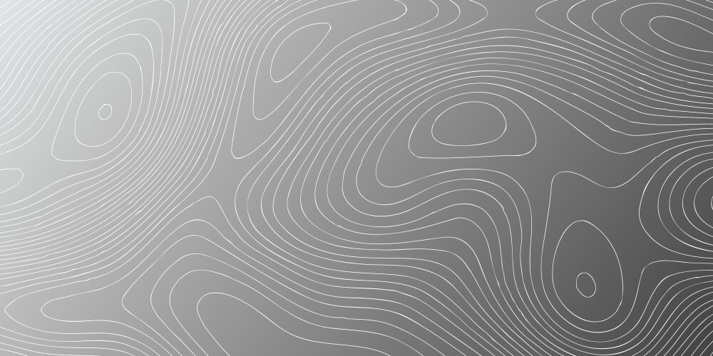 Map line topography abstract topographic Vector Image