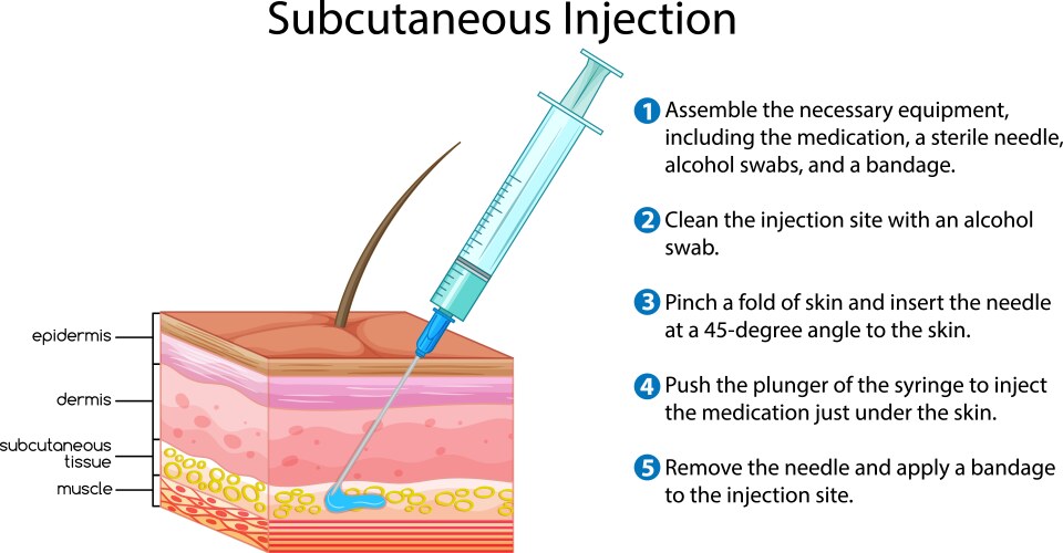 Explanation Vector Images (over 6,600)