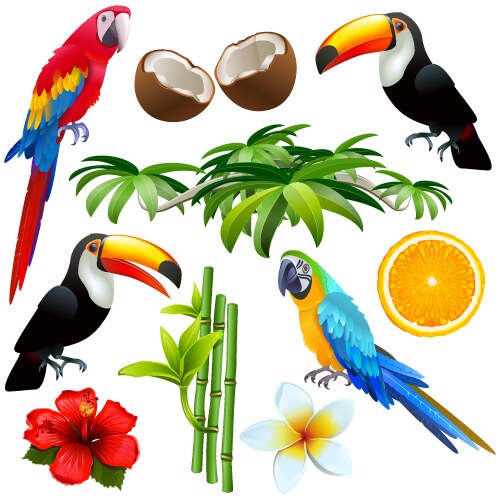 Tropical objects set Royalty Free Vector Image