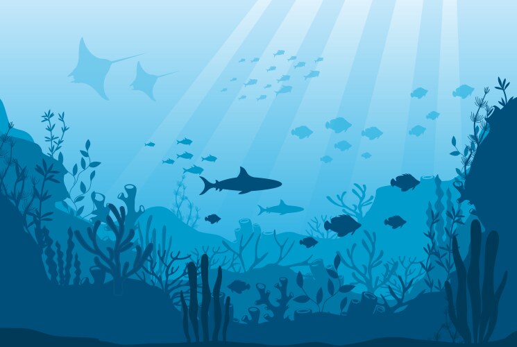 Coral Vector Images (over 74,000)