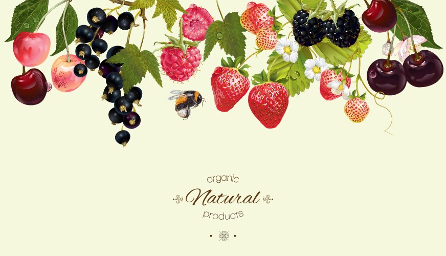 Fruits Border Vector Images (over 10,000)