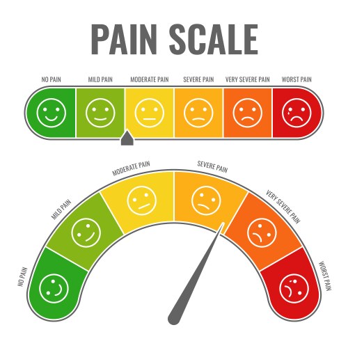 Measuring rulers school ruler metric scale Vector Image
