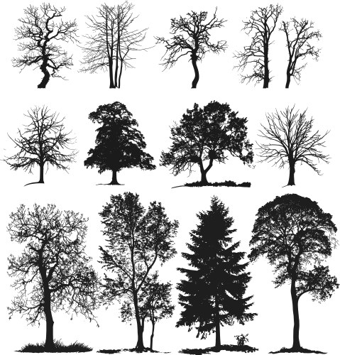 Trees Royalty Free Vector Image - VectorStock