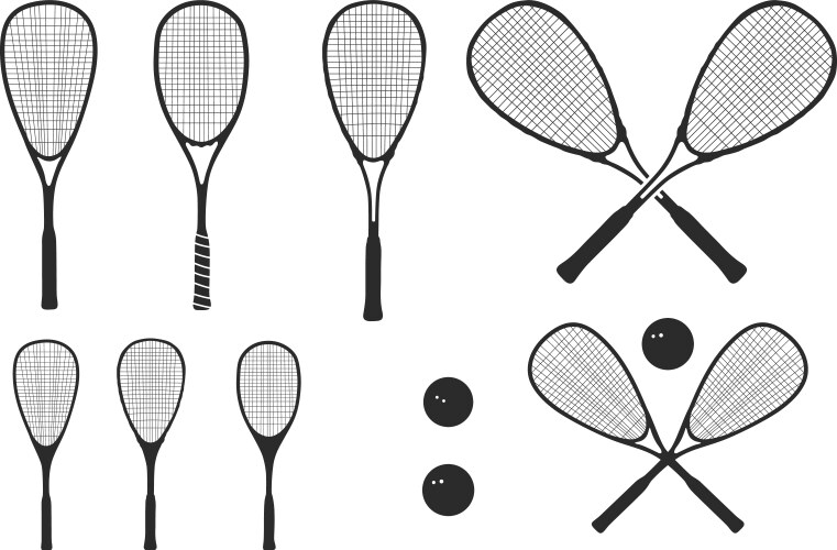 Squash Clipart Vector Images (over 1,300)