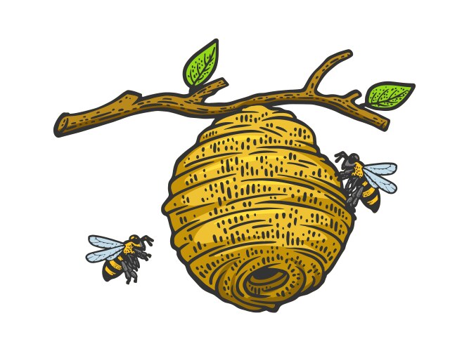 Bee Hive Vintage Vector Images (over 4,400)