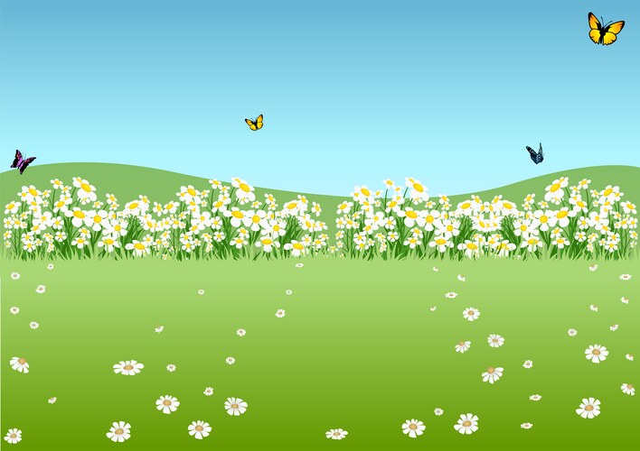 Cartoon Meadow Fence Royalty Free Vector Image