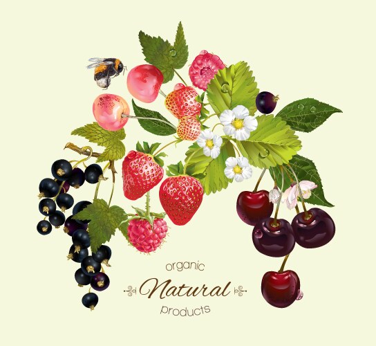 Berry mix falling banner Royalty Free Vector Image