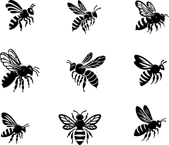 Honey Bee Vector Images (over 68,000)