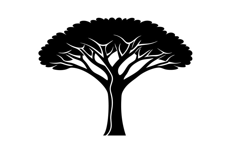 Modern safari tree - elegant and minimalist Vector Image