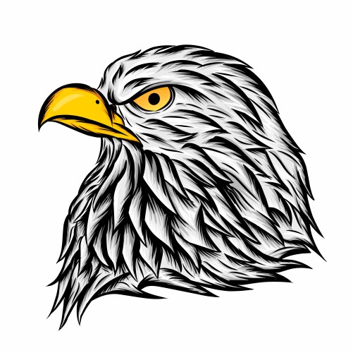 Eagle Head Front View Vector Images (over 250)