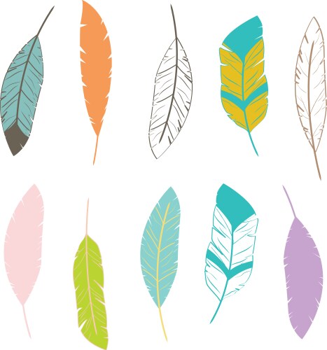 Colored feathers set Royalty Free Vector Image