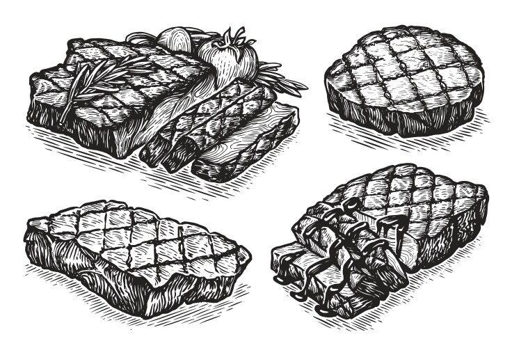 Raw meat set drawing hand drawn beef steak Vector Image