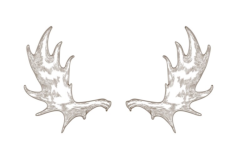 Elk Outline Vector Images (over 4,200)