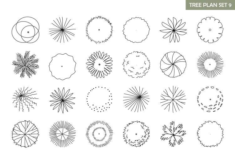 Tree plan top view set 7 Royalty Free Vector Image