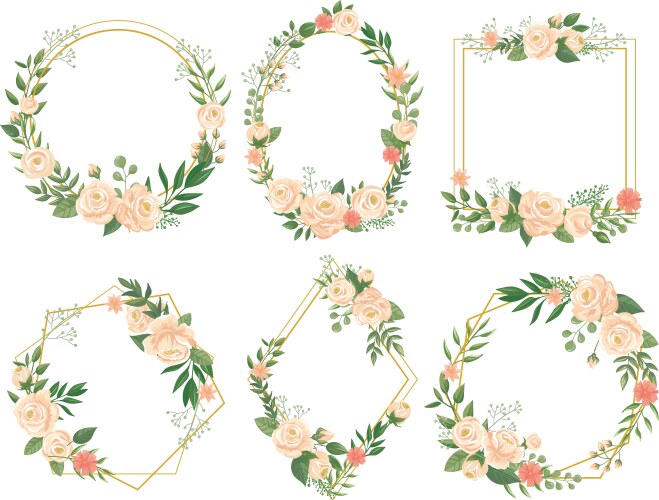 Floral Frame & Border Set – Royalty-Free Vector | VectorStock