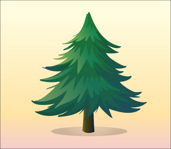 Pine tree in cartoon style isolated on white Vector Image