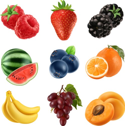 Fruit Vector Images (over 860,000)