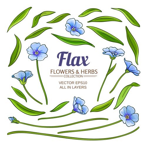 Flax Seed Vector Images (over 1,100)