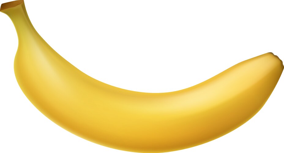 Single Fruit Vector Images (over 18,000)