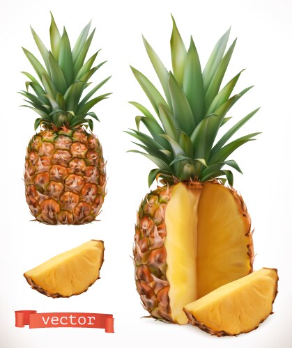 Pineapple Slice Vector Images (over 7,900)
