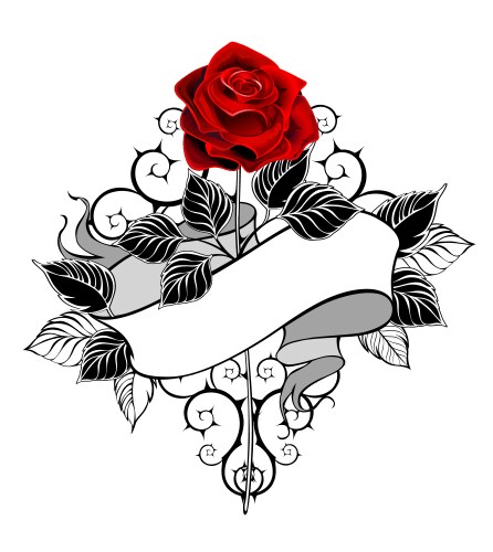 Infinity symbol with outline rose Royalty Free Vector Image