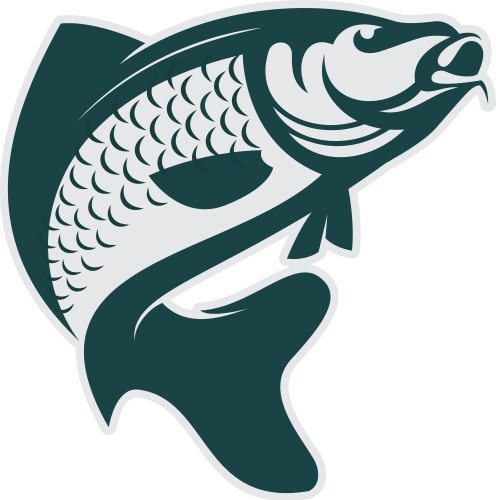 Carp Fishing Vector Images (over 10,000)