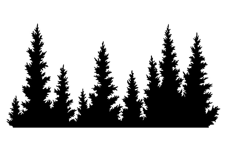 Fir trees silhouette coniferous spruce horizontal Vector Image