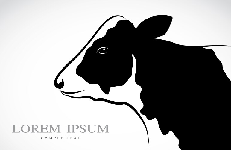 A cow is eating grass on white background farm Vector Image
