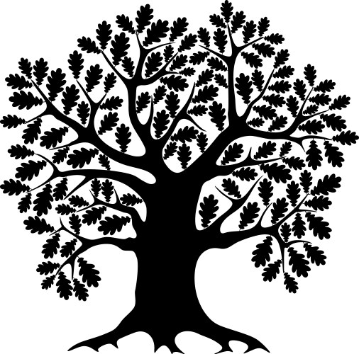 Oak Royalty Free Vector Image - VectorStock