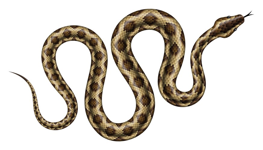 Golden foil texture Royalty Free Vector Image - VectorStock