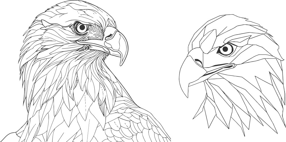 Eagle Line Art Vector Images (over 11,000)