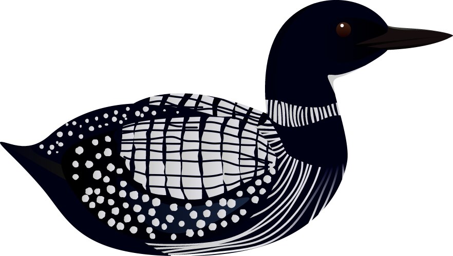 Flying Bird Cartoon Vector Images (over 50,000)