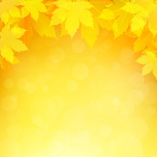 Autumn fall background with bright golden maple Vector Image