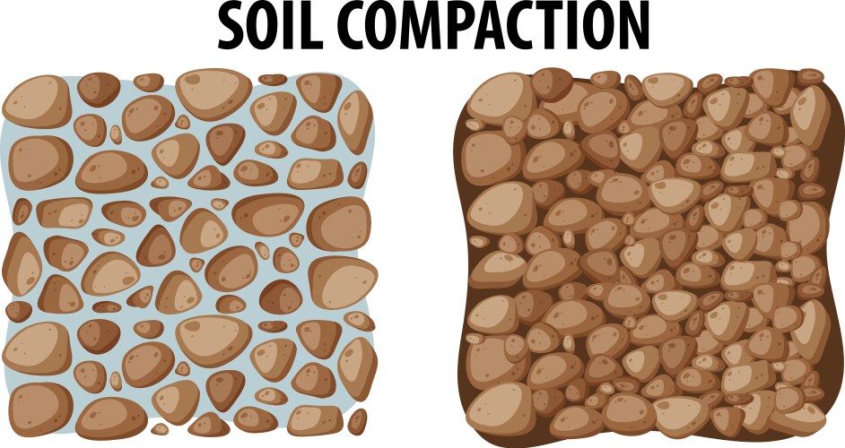 Density concept with states of matter Royalty Free Vector