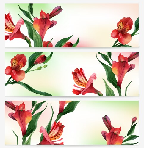 Floral Header Vector Images (over 11,000)