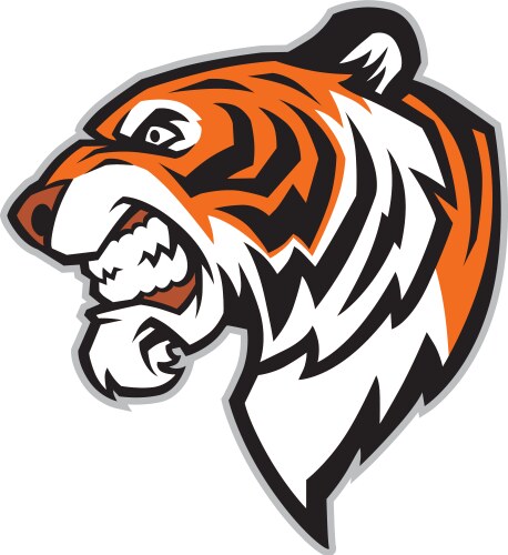 Tiger Vector Images (over 79,000)