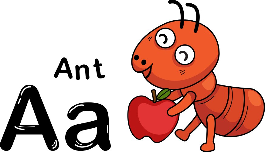 Alphabet letter a-airplane ant alligator Vector Image