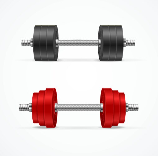 Equipment dumbbell cartoon Royalty Free Vector Image