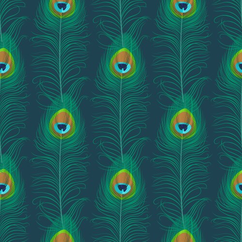 Peacock feather Royalty Free Vector Image - VectorStock